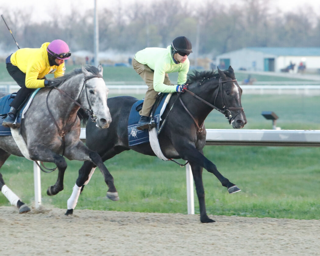 Chunk Of Gold Has Exceeded Expectations On The Way To WV Derby | News ...